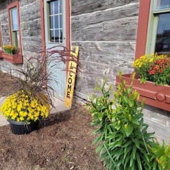 Mennonite Traditions and Festivals: Celebrating Faith and Community ...