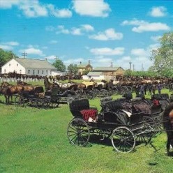 Mennonite Traditions and Festivals: Celebrating Faith and Community ...