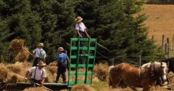 Step On Guides for Tour Buses - By Appointment